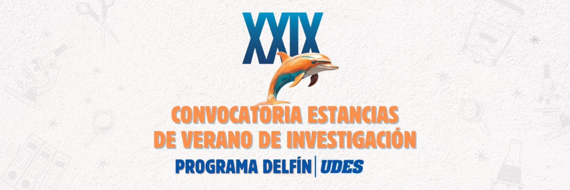 XXIX convocatoria estancias de verano de investigación programa Delfín ...